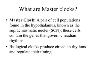 Circadian Rhythm (BSc Zoology) | PPTX