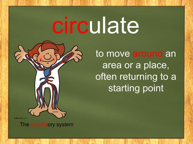 Circ circum vocabulary_words | PPT