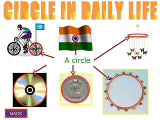 Examples Of Circles In Real Life