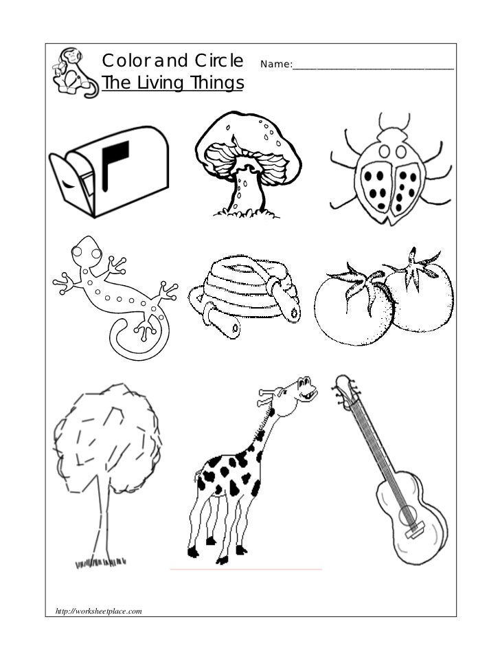 Circle the-living-things