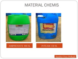 CIRCLE CHEMIS OJT PT. CDM kelapa sawit pt rea kaltim plantation.ppt