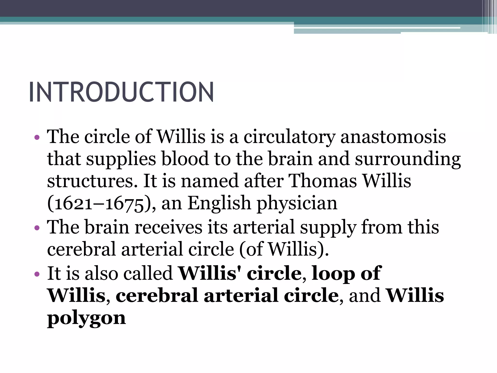 Circle of willis | PDF