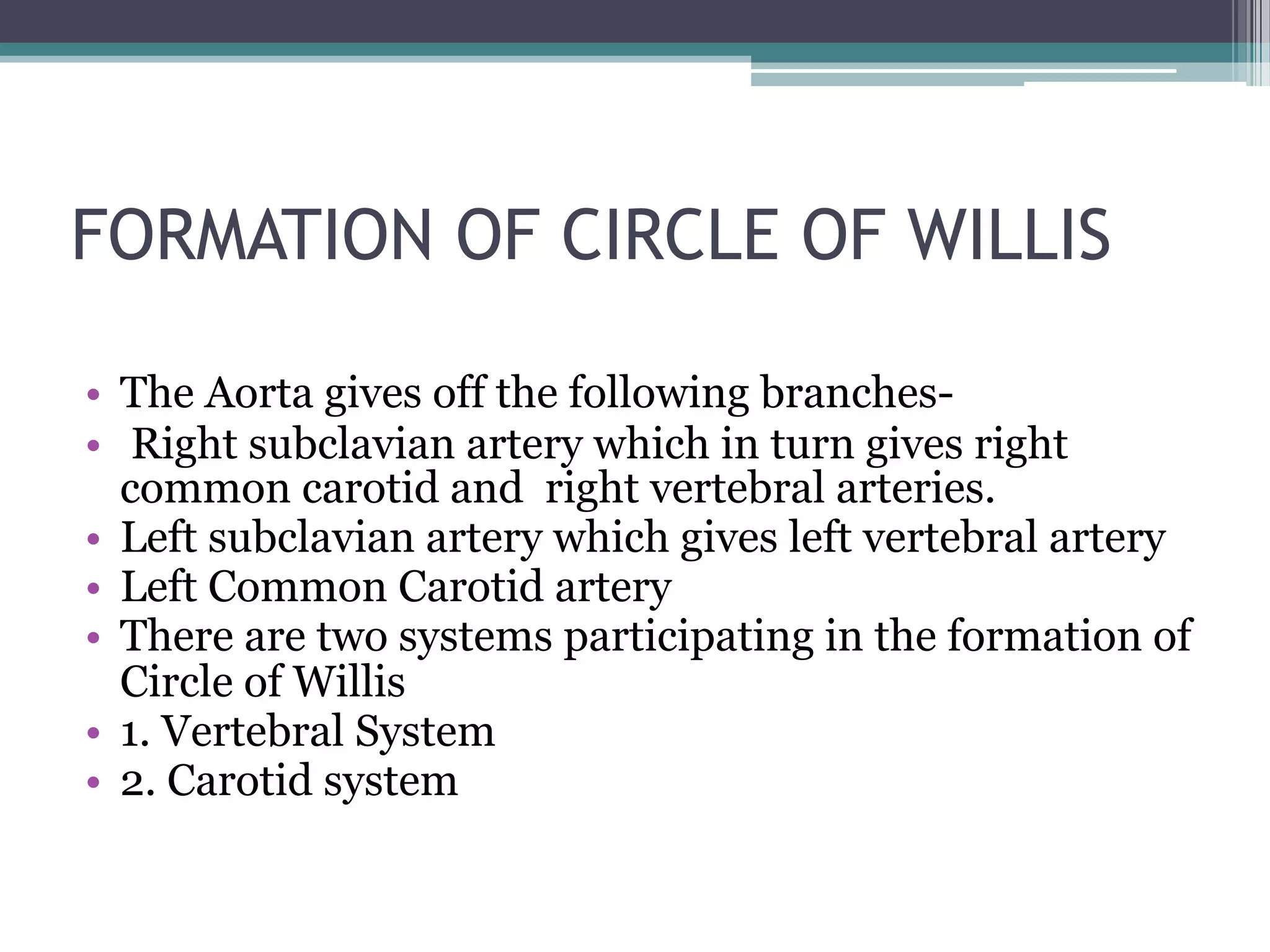 Circle of willis | PDF