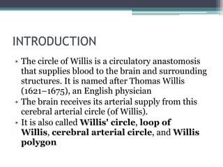 Circle of willis | PDF