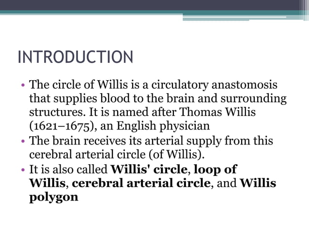Circle of willis | PDF