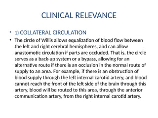 Circle of Willis and its clinical relevance | PPTX