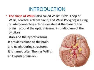 Circle of Willis and its clinical relevance | PPTX