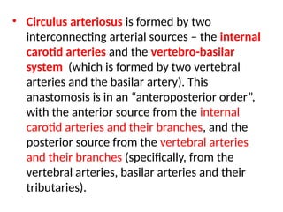 Circle of Willis and its clinical relevance | PPTX