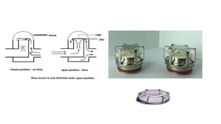 CIRCLE SYSTEM.pptx