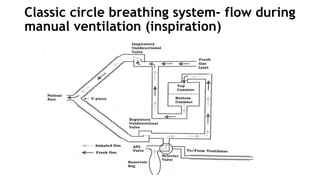 CIRCLE SYSTEM.pptx