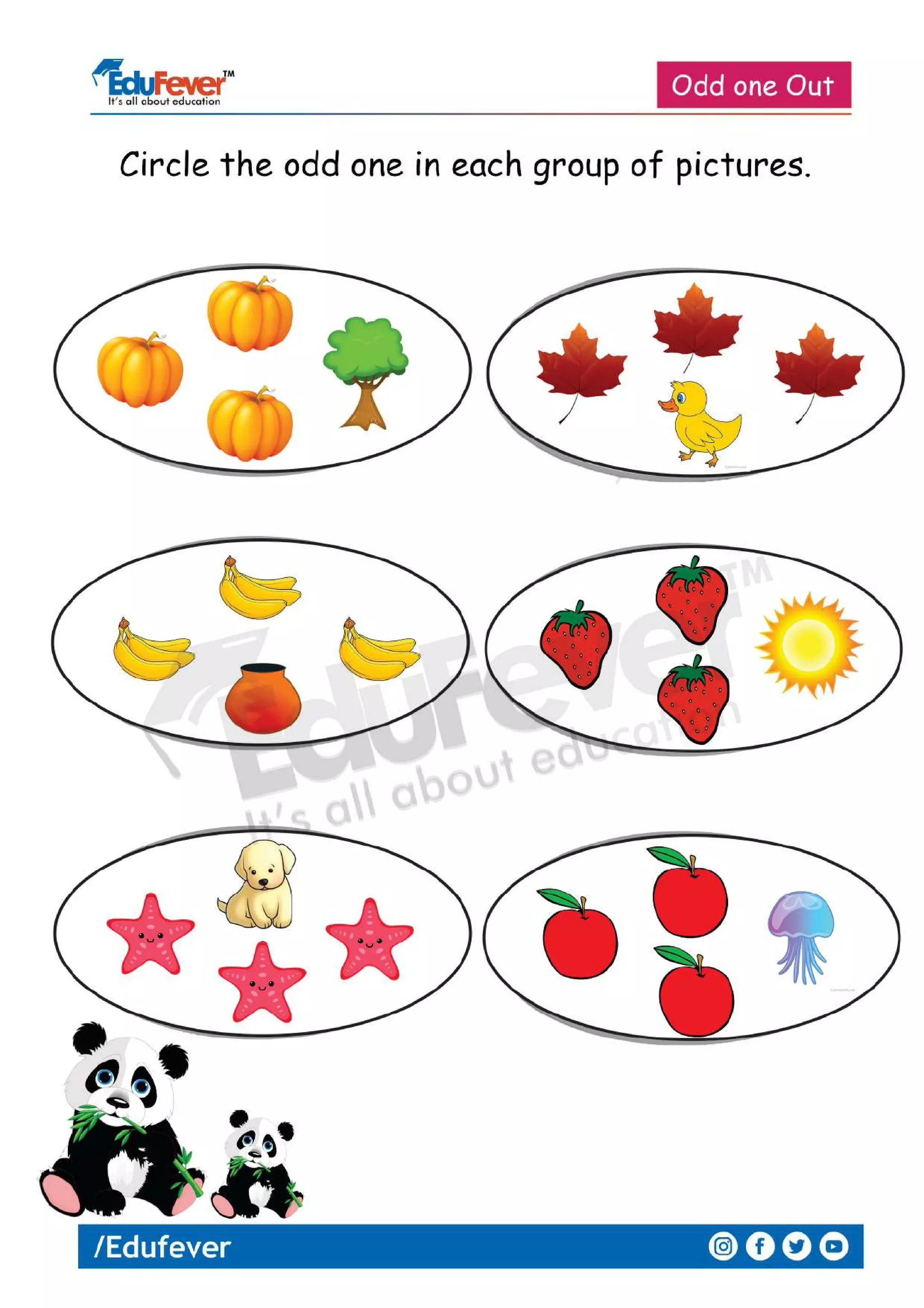 Circle the Odd one out - LKG Worksheet | PDF