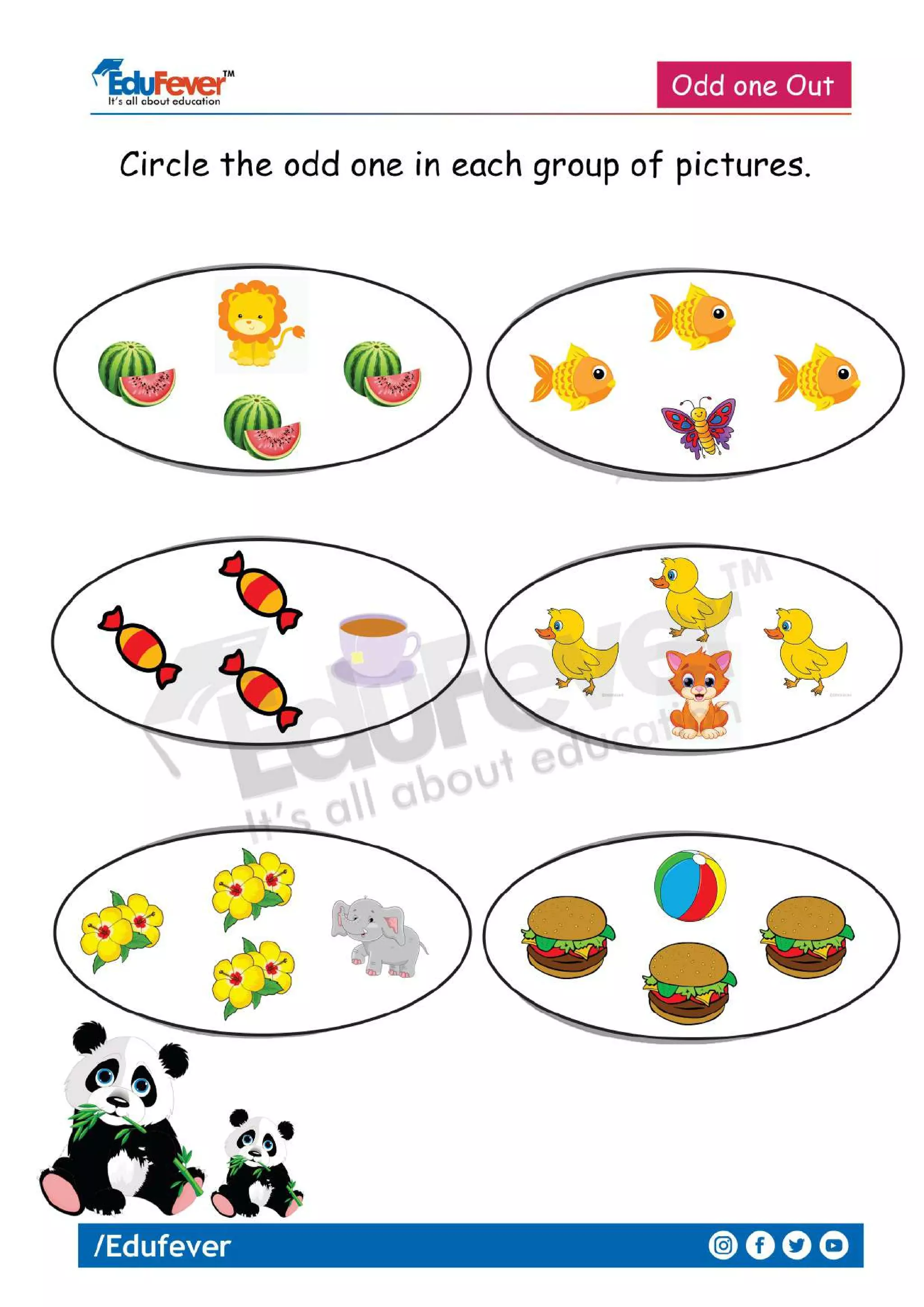 Circle the Odd one out - LKG Worksheet | PDF