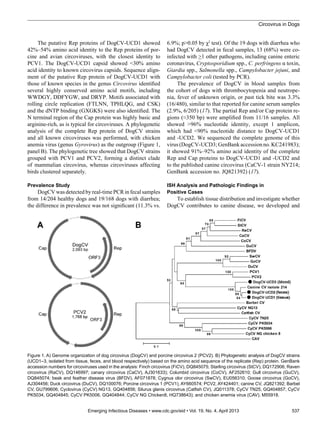 CIRCOVIRUS en perros.pdf