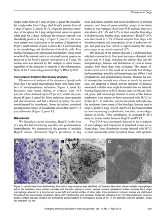 CIRCOVIRUS en perros.pdf