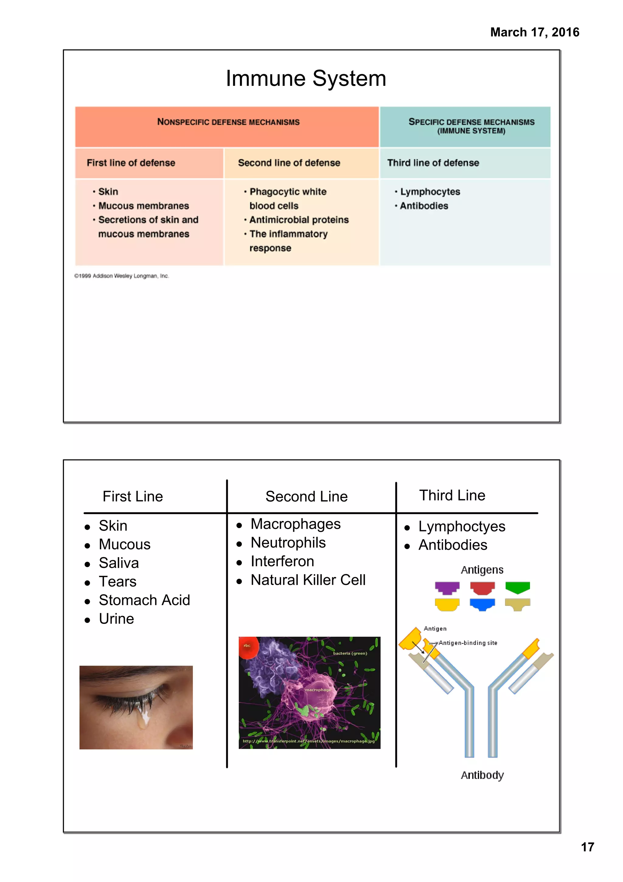 Circulation/IMMUNE Smart board | PDF