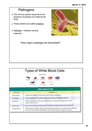 Circulation/IMMUNE Smart board | PDF