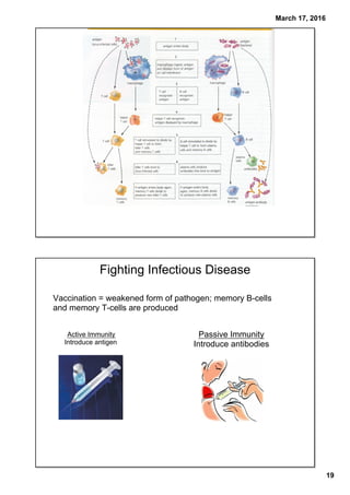 Circulation/IMMUNE Smart board | PDF