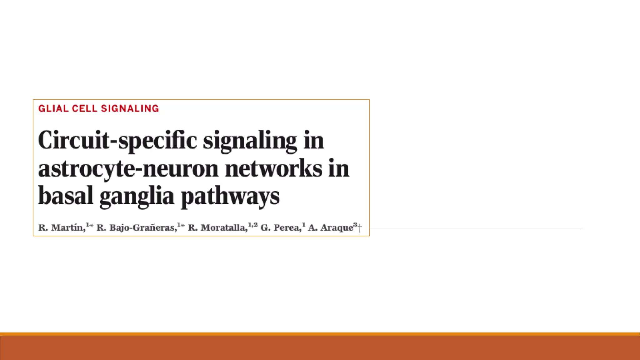 Circuit Specific Signaling In Astrocyte Neuron Networks In Basal