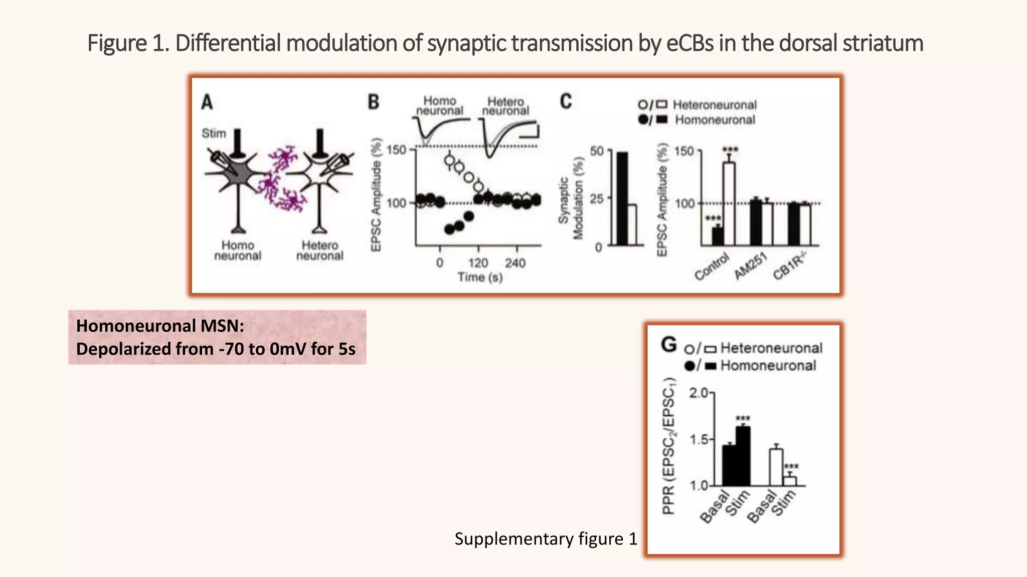 Circuit Specific Signaling In Astrocyte Neuron Networks In Basal