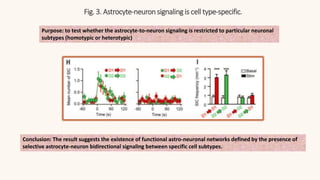 Circuit specific signaling in astrocyte-neuron networks in basal ...