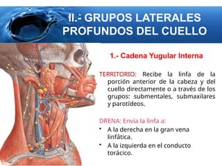 circuito ganglionar. pericervical- generalidades | PPTX
