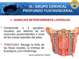 circuito ganglionar. pericervical- generalidades | PPTX