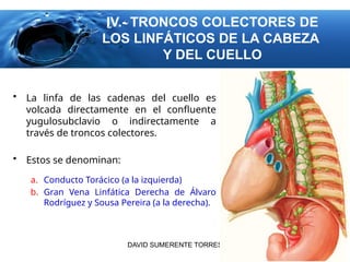 circuito ganglionar. pericervical- generalidades | PPTX