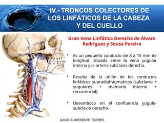 circuito ganglionar. pericervical- generalidades | PPTX
