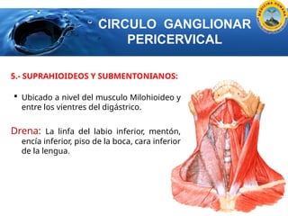 circuito ganglionar. pericervical- generalidades | PPTX