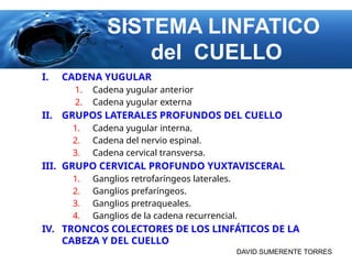 circuito ganglionar. pericervical- generalidades | PPTX