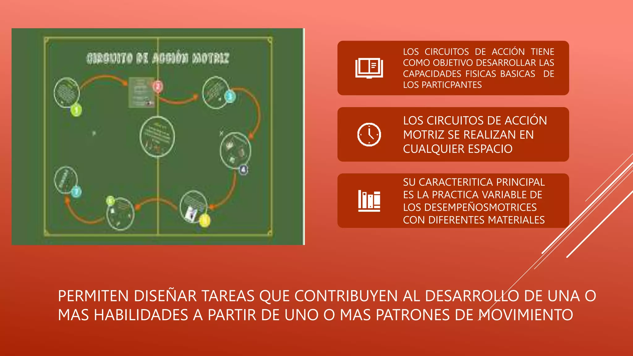 CIRCUITOS DE ACCIÓN MOTRIZ 2DO.pptx