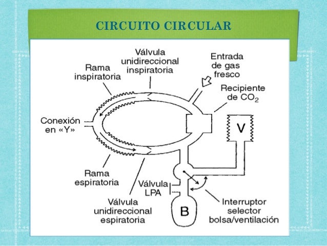 Circuitos de anestesia