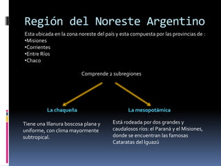 Circuitos productivos y agroindustrias del nea 1 | PPTX