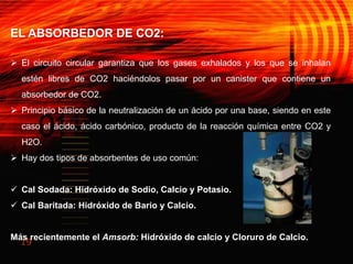 Circuitos y ventilacion mecanica en pediatria | PPTX