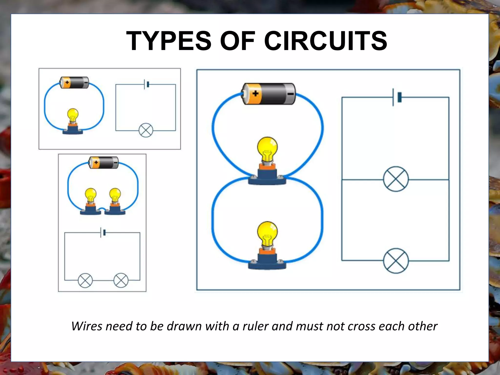 Circuits.ppt | Computer Networking | Computing