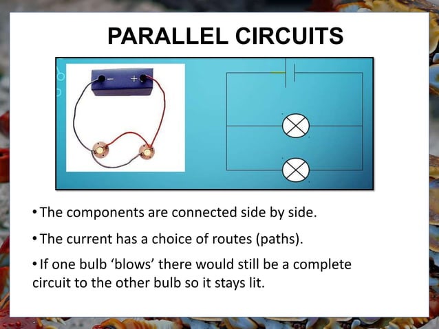 Circuits.ppt | Computer Networking | Computing