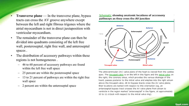 Circuits in avrt,avnrt i.tammi raju | PPTX