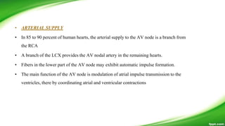 Circuits in avrt,avnrt i.tammi raju | PPTX