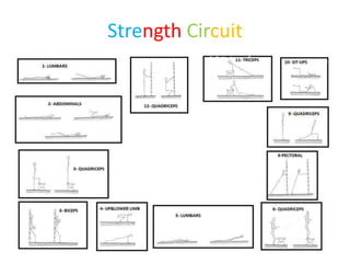 Circuit training ppt [autosaved] | PPTX