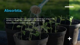 Circuitul Apei in Natura prezentare power point | PPTX