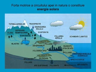Circuitulmaterieiinecosistem | PPT