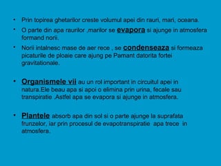 Circuitulmaterieiinecosistem | PPT