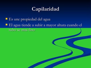CirculacióN De Las Plantas | PPT