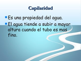 Circulación de las plantas | PPT
