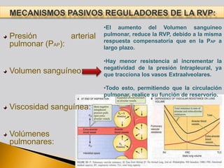 CIRCULACIÓN PULMONAR..pptx