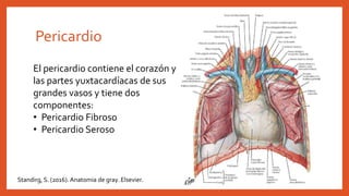 circulacion coornaria.pptx