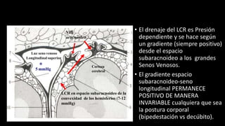 circulacion de lcr.pptx