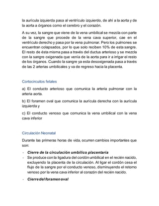 Circulacion fetal | DOCX