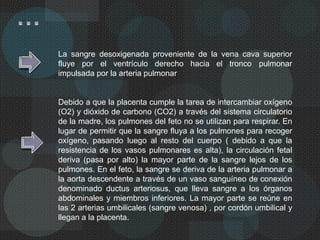 PRESENTACIÓN DE LA CIRCULACIÓN FETAL UNAM | PPTX