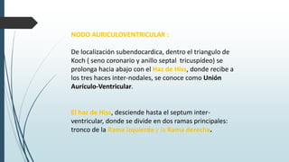 Circulacion fetal neonatal | PPTX